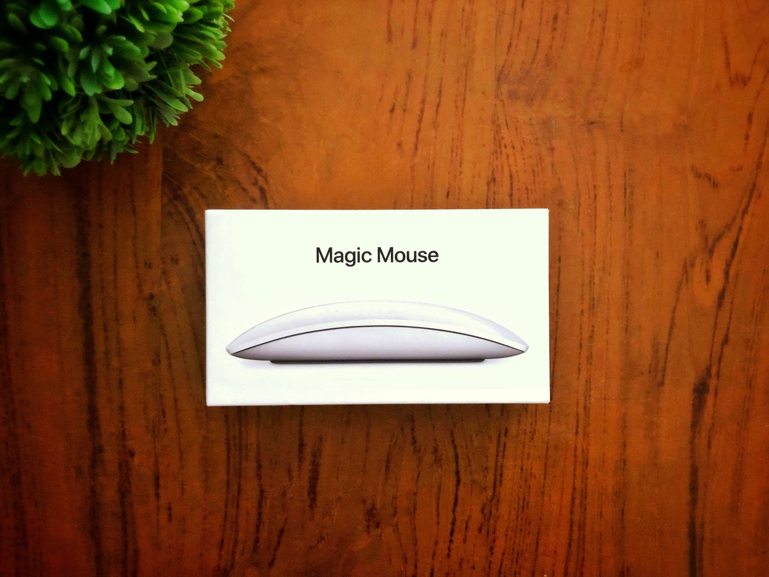 Apple Magic Mouse 2 | NoFake.lk | NoFake Mobile Store | Maharagama